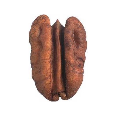 Pecans | Fisher Foodservice