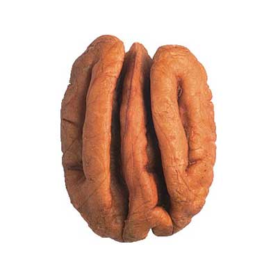 Pecans | Fisher Foodservice